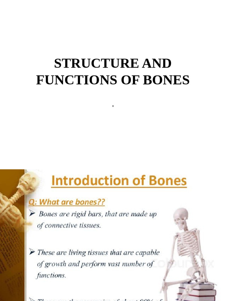 5. Bone Tissue-structure & Functions | PDF