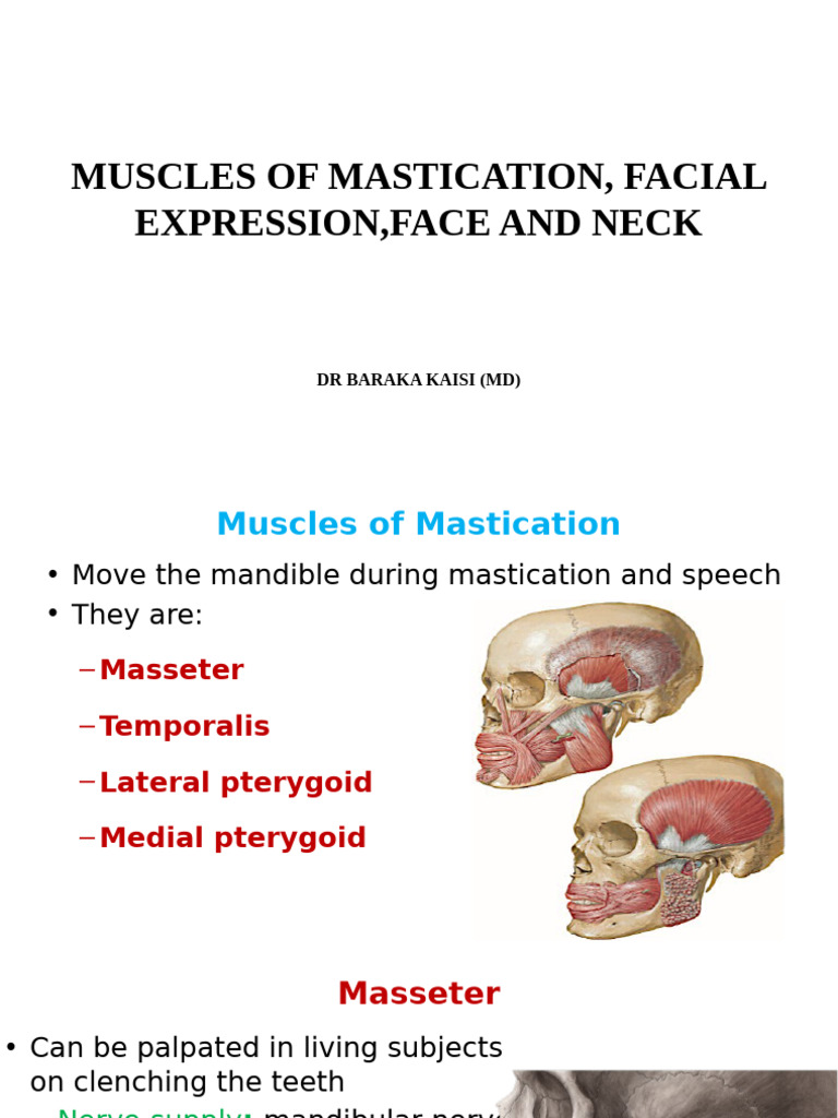 Muscles of Mastication and Expression | PDF | Neck | Musculoskeletal System