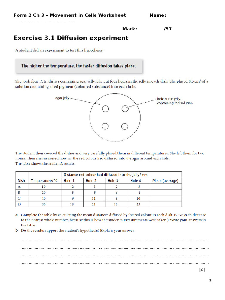 Form 2 CH 3 Worksheet | PDF