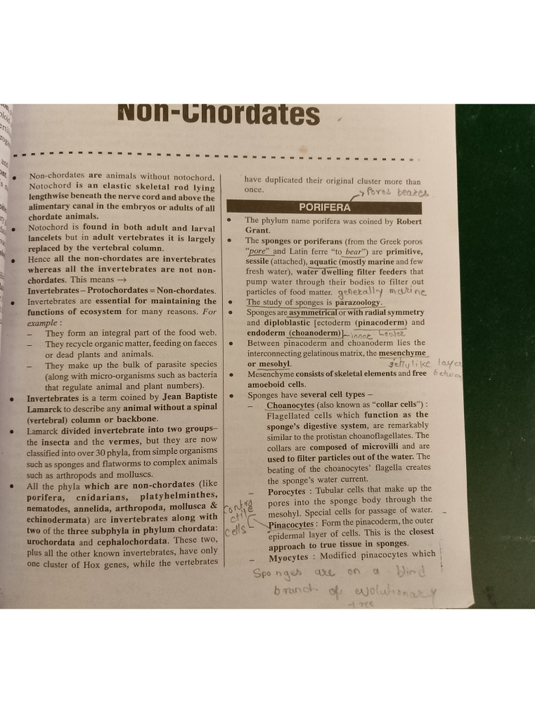 Image To PDF 20250320 13.55.50 | PDF