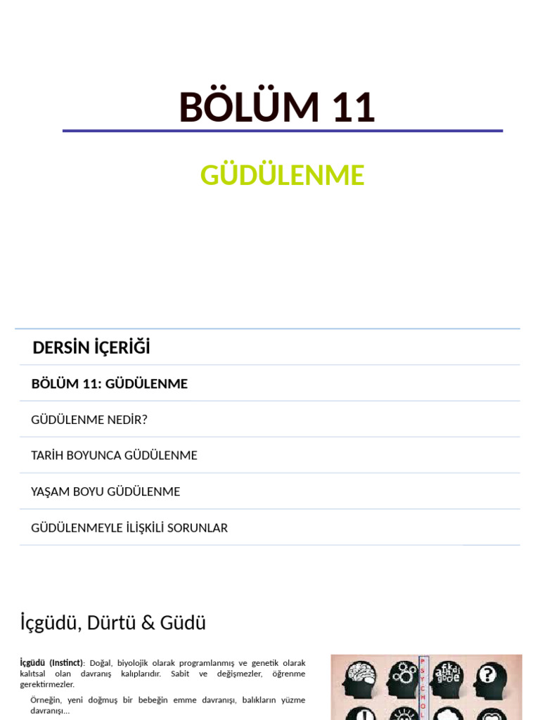 PG2- Ders7- Güdülenme | PDF