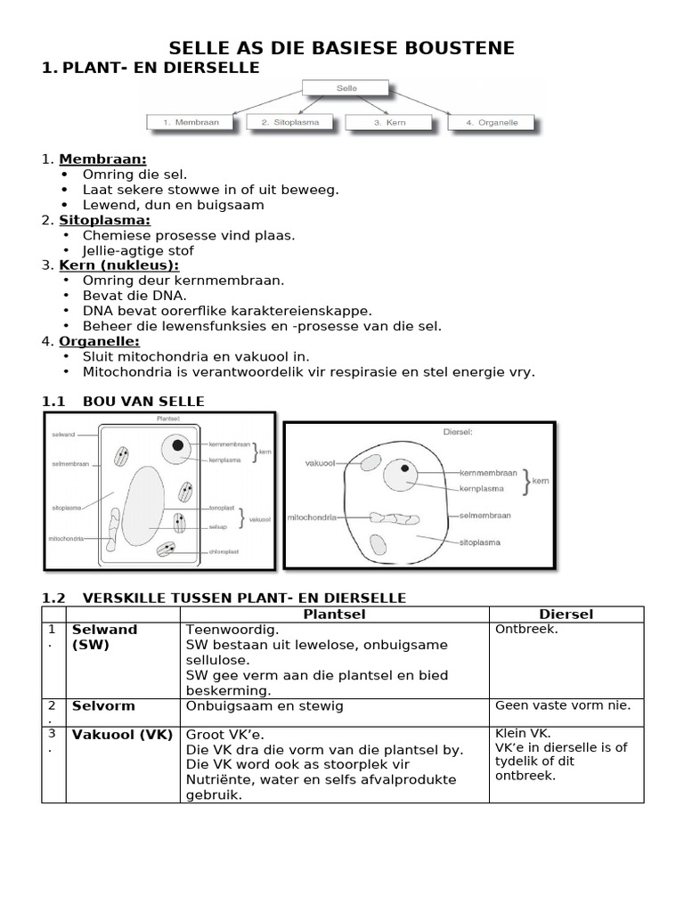 NW Opsommings Junie v2 | PDF