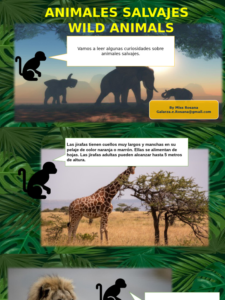 Reading - Wild Animals | PDF