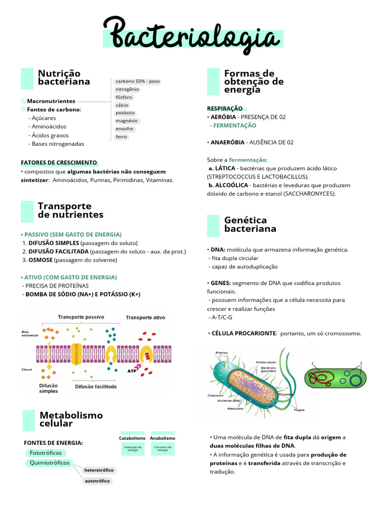Bacterio Log i A | PDF | Bactérias | Gene