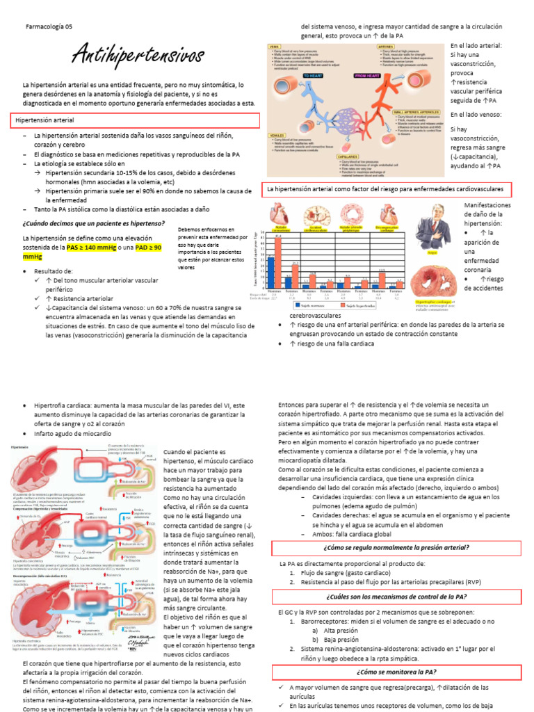 U1 T5 Antihipertensivos | PDF | Angiotensina | Hipertensión