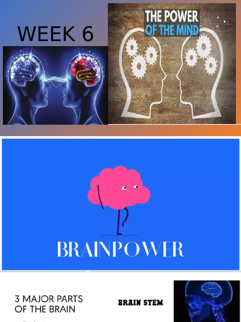 Week 6 Perdev Powerpoint Q3 | PDF