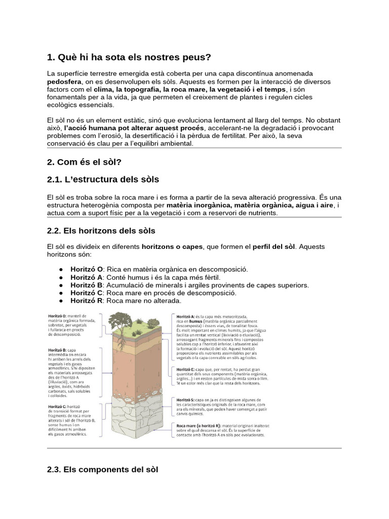 CT Dossier 3r Trim | PDF