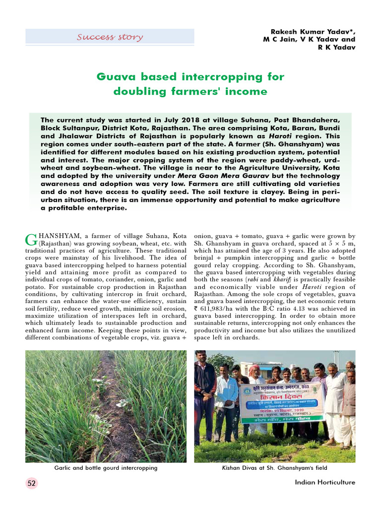 12 Guava Based Intercropping | PDF | Agriculture | Crops