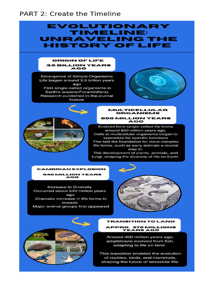Timeline Creation Guide: Part 2 | PDF