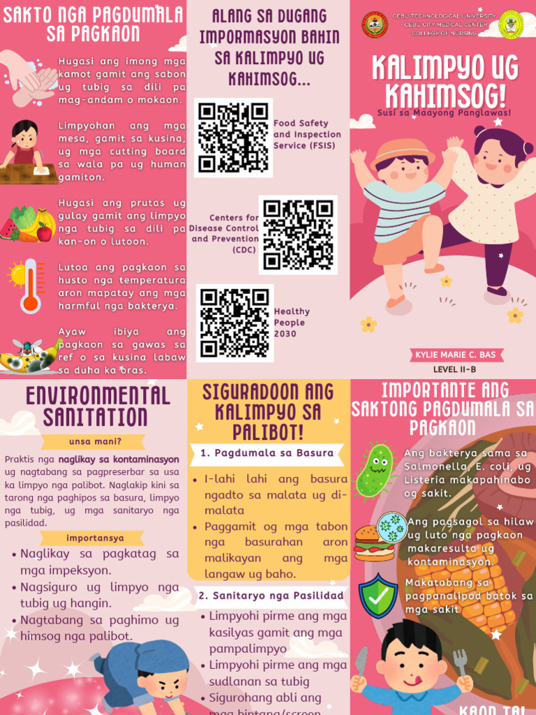 CHN Brochure | PDF