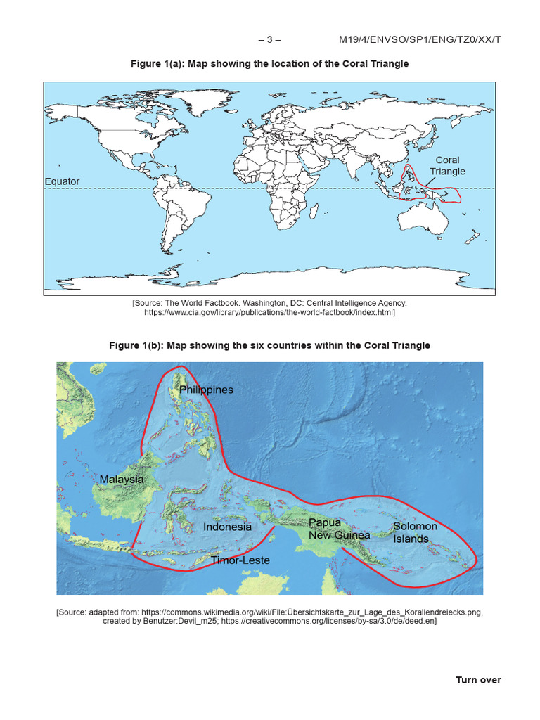 Coral Triangle: Biodiversity and Conservation | PDF | Coral Reef | Mangrove