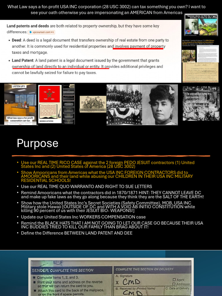 RICO Case Against USA INC and Taxation | PDF | Americans With ...