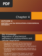 Protein Synthesis Race Worksheet | PDF | Translation (Biology ...