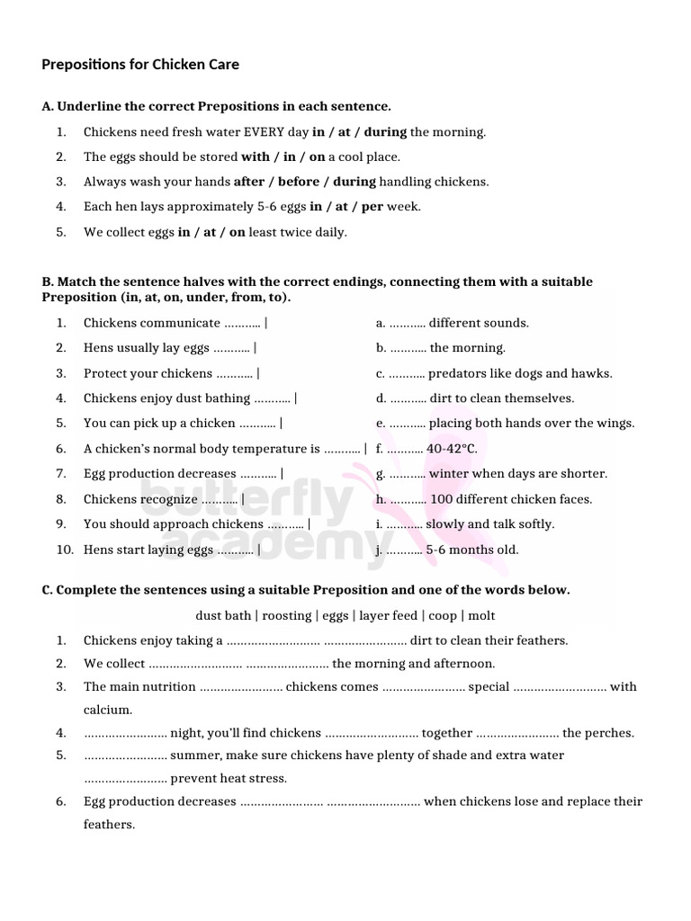 Chicken Prepositions Worksheet 1 | PDF | Chicken | Poultry Farming