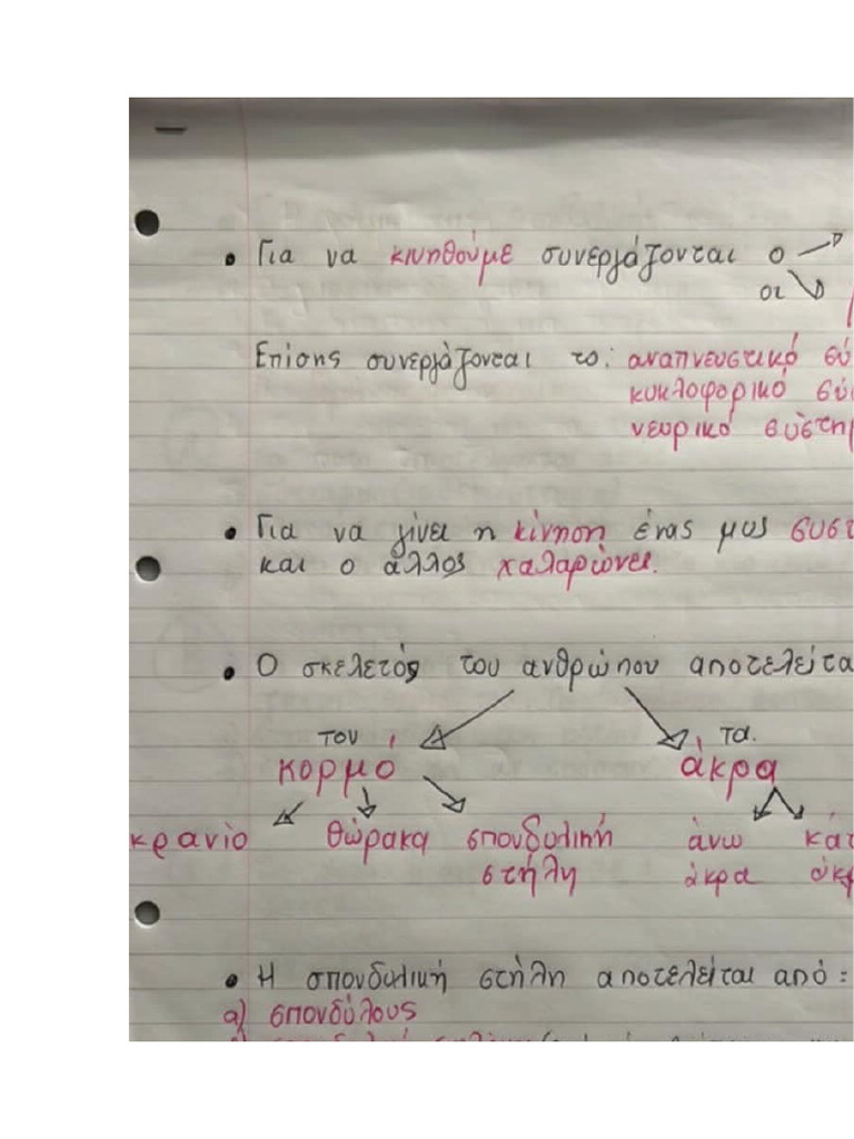 ΒΙΟΛΟΓΙΑ ΜΥΟΣΚΕΛΕΤΙΚΟ Β ΓΥΜΝΑΣΙΟΥ | PDF