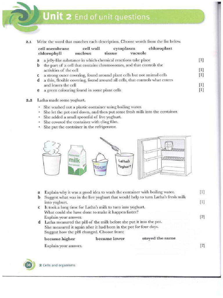 Chapter 2 Worksheets | PDF