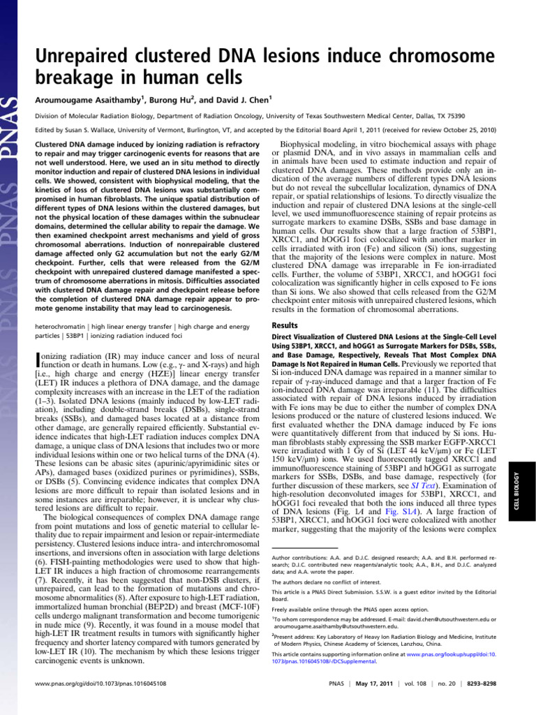Asaithamby, Hu, Chen - 2011 - Unrepaired clustered DNA lesions induce ...