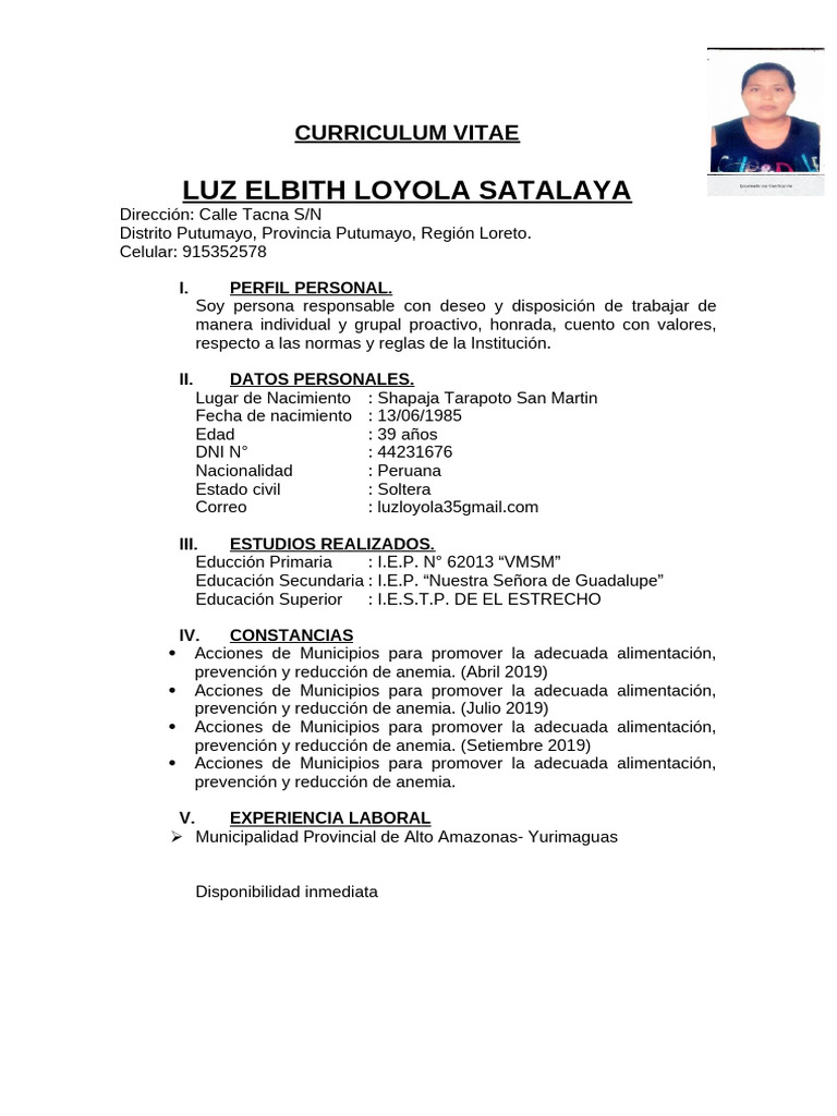 CV Luz Loyola | PDF