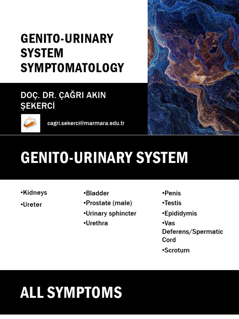 Genito-Urinary System Symptomatology | PDF | Urinary Incontinence ...