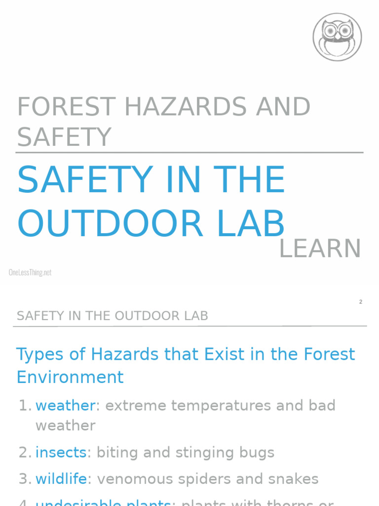 Ccfor04.1 Outdoor Safety Slideshow - Read-Only | PDF | Spider | Insects