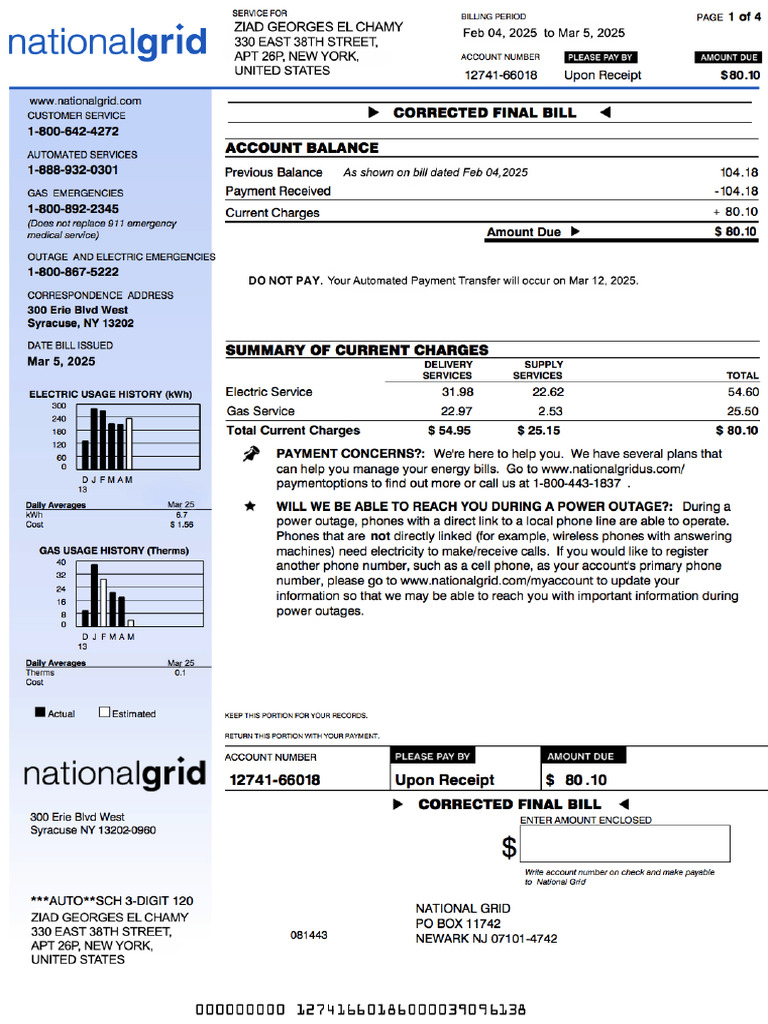 Ziad Georges El Chamy - Bill | PDF