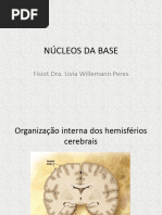 Estrutura e Funcao Dos Nucleos Da Base | PDF | Gânglios basais ...