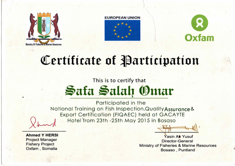 Safa Salah Omar (Certificate of Partipiciation) | PDF