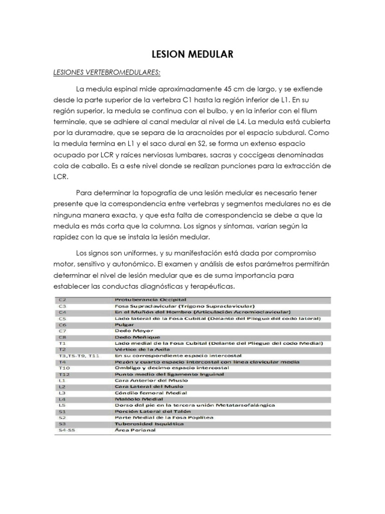 Lesion Medular | PDF | Médula espinal | Enfermedades y trastornos