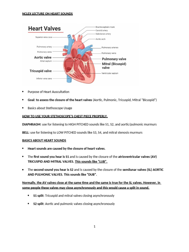 NCLEX AUSCULTATON | PDF | Heart Valve | Heart