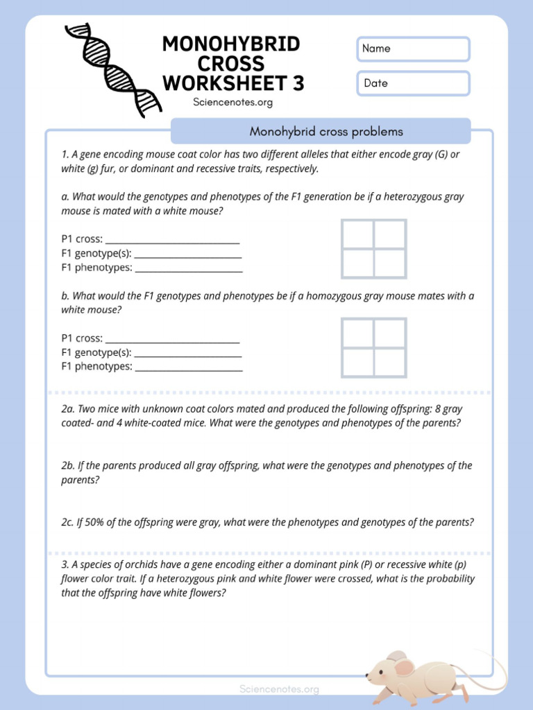 Monohybrid-Cross-3 | PDF