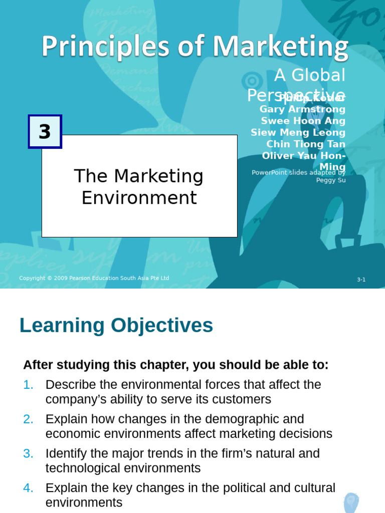 677c7c44d6c619619b19c5cc Chap3 | PDF | Marketing | Demography