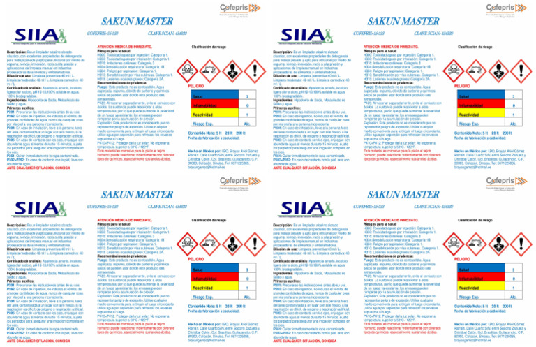 Sakun Master Publi | PDF