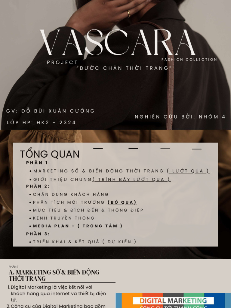 Slides VASCARA Compressed | PDF