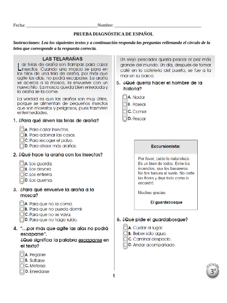 Prueba Diagnóstica de Español | PDF