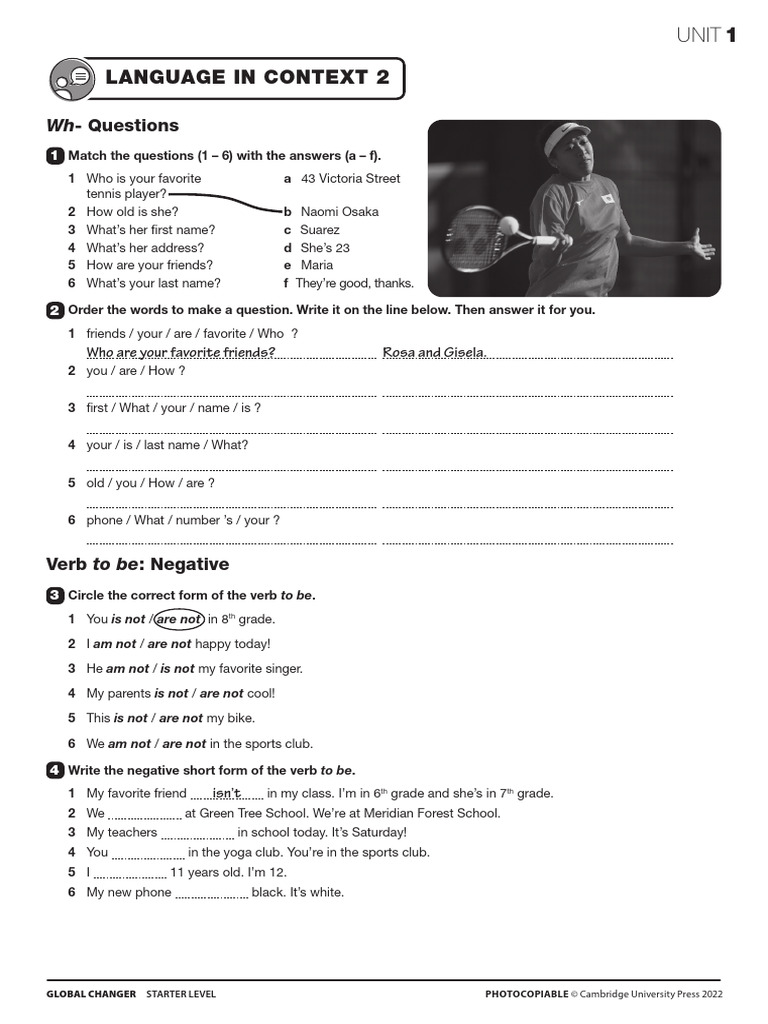 Wh- Questions and Verb Forms Practice | PDF