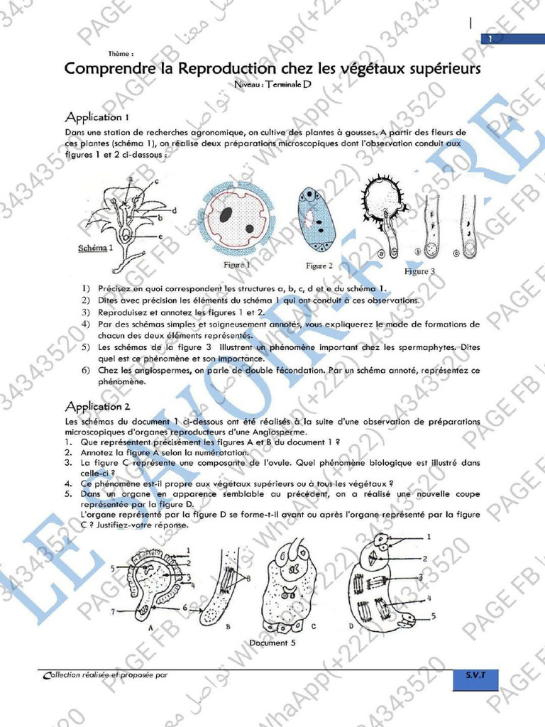 Image To PDF 20250320 11.41.21 | PDF