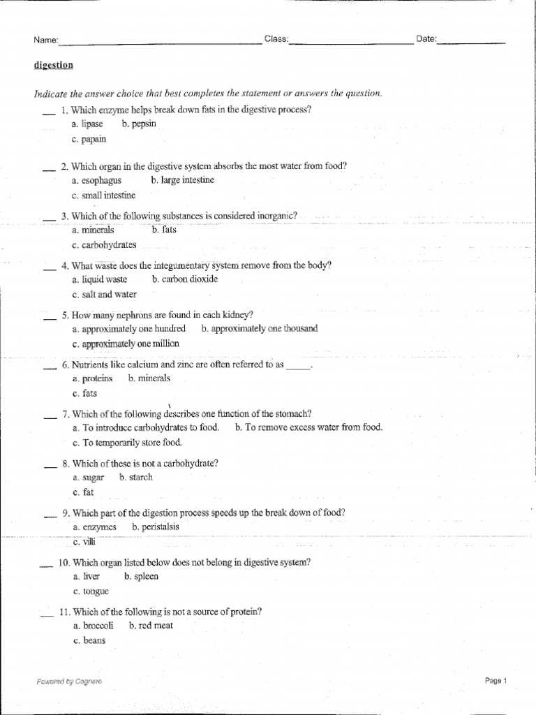 Digestion Test | PDF