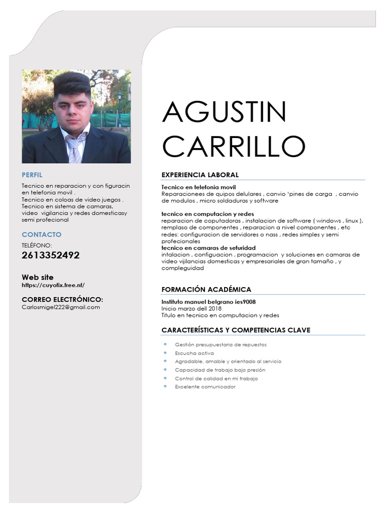 Curriculum Agustín Carrillo | PDF