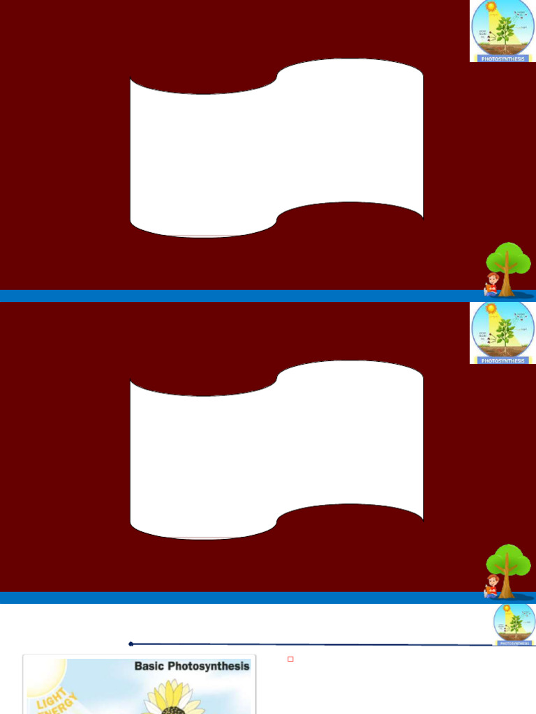 Chapter13 Photosynthesis.pptx (1) | PDF | Photosynthesis | Chloroplast