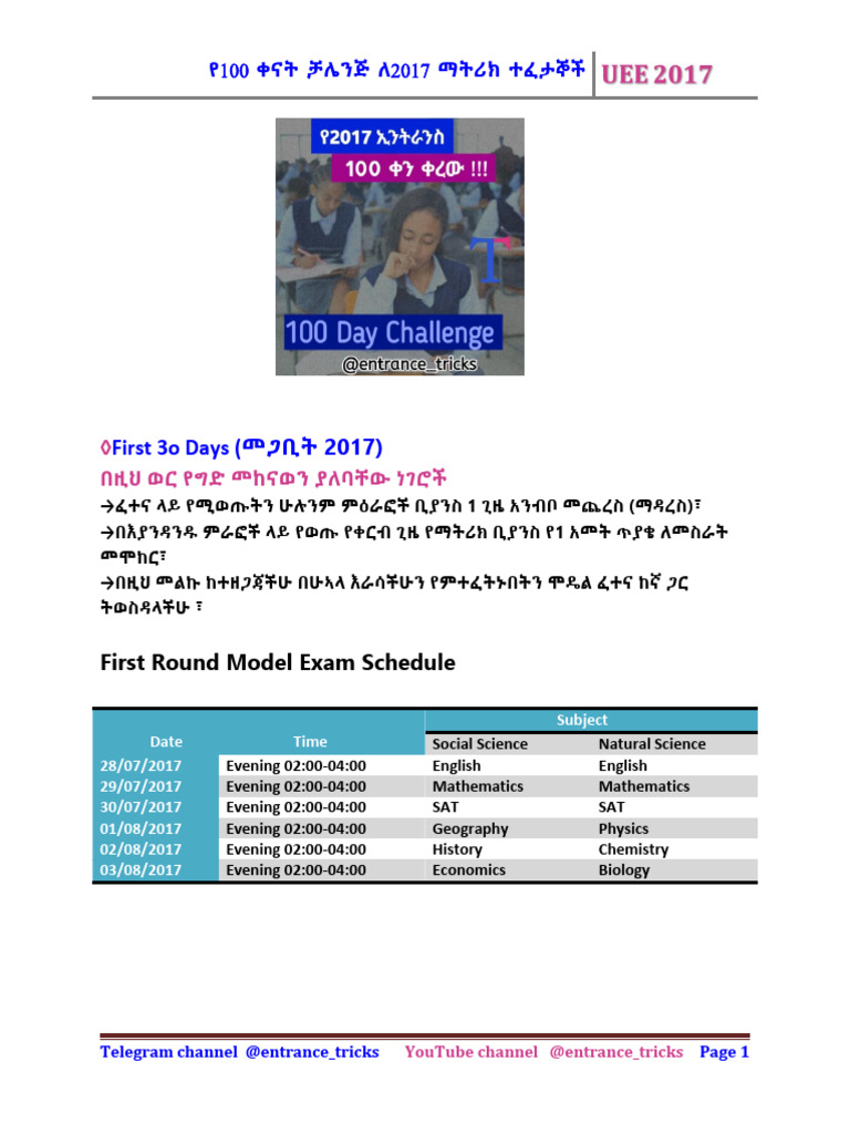 100 Day Challenge For 2017 | PDF
