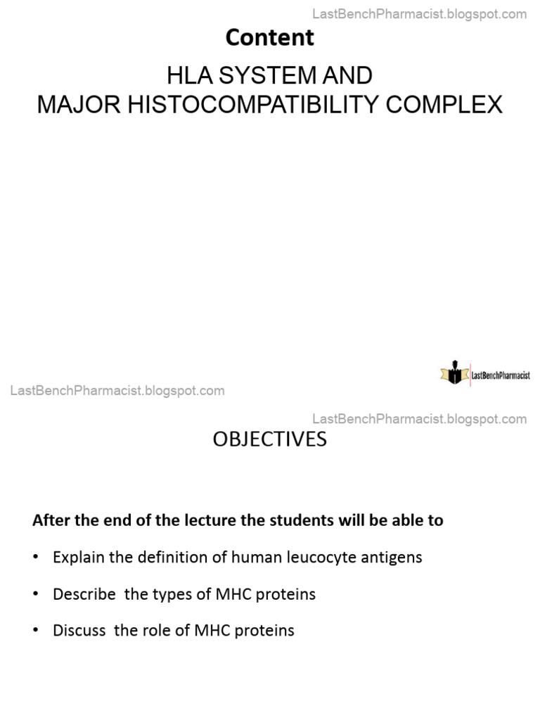 03. STRUCTURE OF MHC | PDF | Major Histocompatibility Complex | Human ...