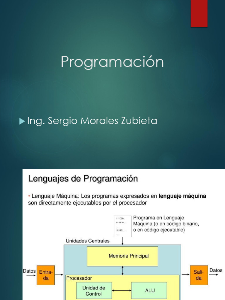 Introduccion Programacion | PDF
