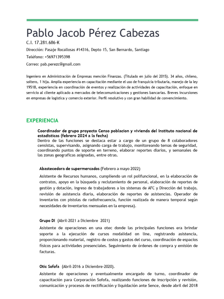 Curriculum Vitae Pablo 2024 | PDF | Microsoft Excel | Procesos de negocio