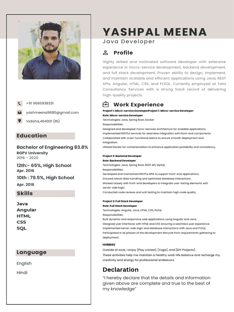 Java Developer Profile and Experience | PDF | Java (Programming Language) | Databases