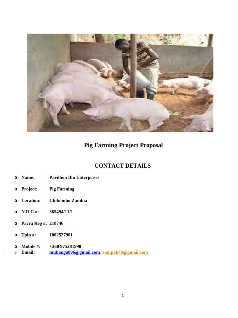 Pig Farming Business Proposal Zambia | PDF | Pig | Meat