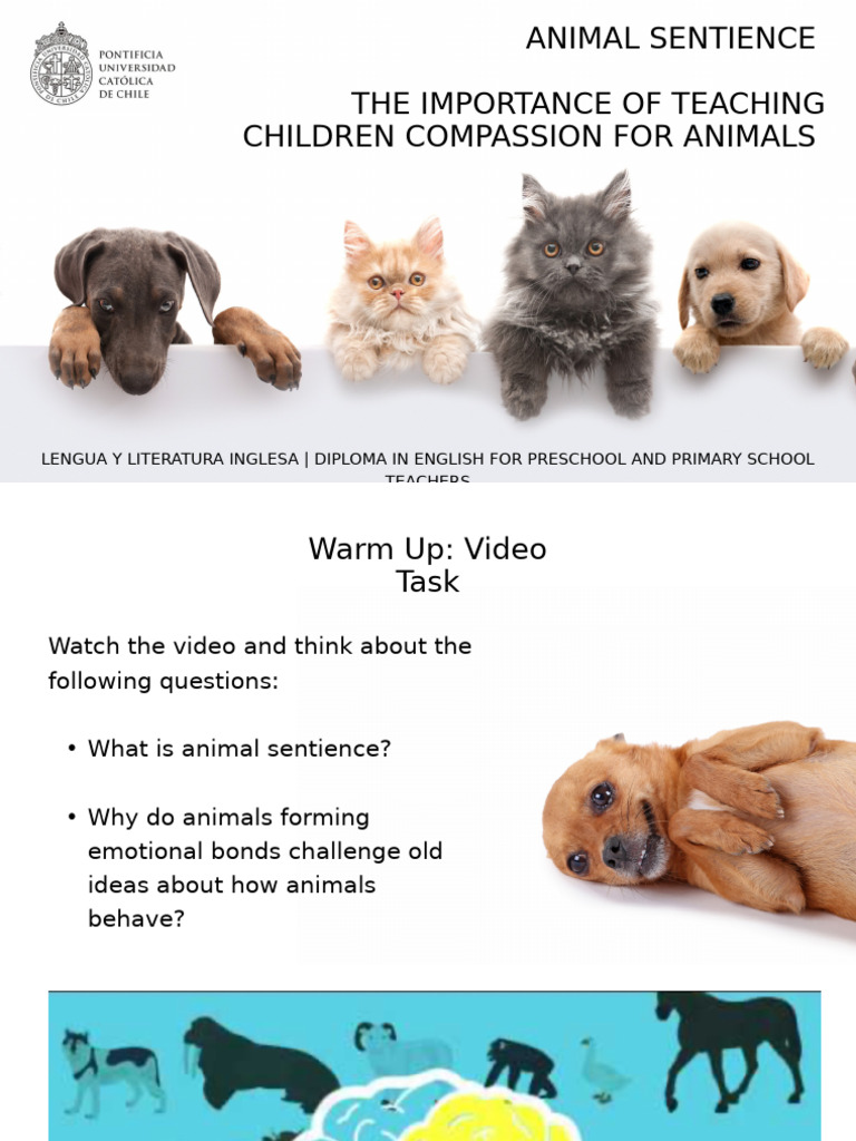 Animal Sentience The Importance of Teaching Children Compassion For ...