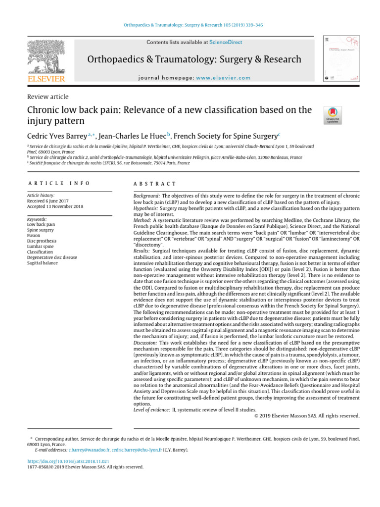 Chronic Low Back Pain - Relevance of A New Classification Based On The ...