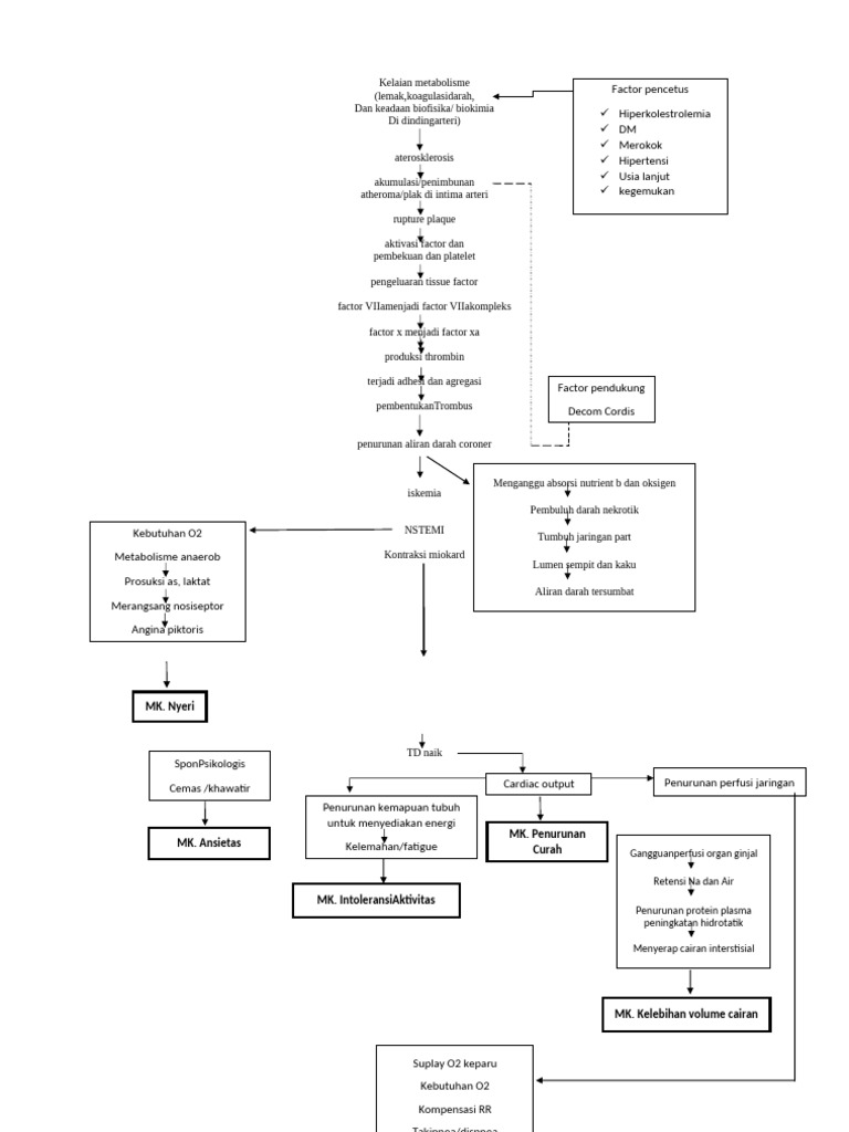 Pathway-Nstemi | PDF