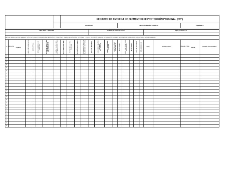 Formato Entrega de Epps | PDF
