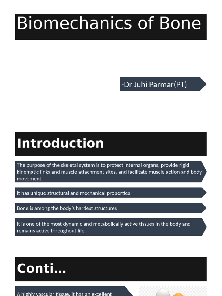 Biomechanics of Bone | PDF | Bone | Deformation (Engineering)